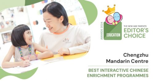Why Chengzhu Mandarin Centre Is The Top Choice For Your Child's ...