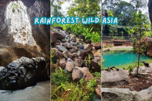 Singapore's Rainforest Wild Asia to Welcome the Public from 12 Mar 2025