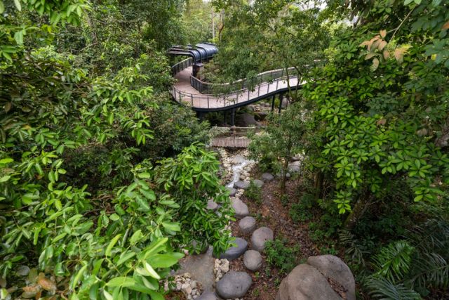 Singapore's Rainforest Wild Asia To Welcome The Public From 12 Mar 2025